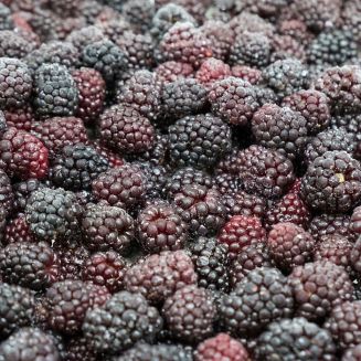 Kazenes, 1.šķira, sald., IQF, 4*2.5kg | Reaton Food Online Ordering